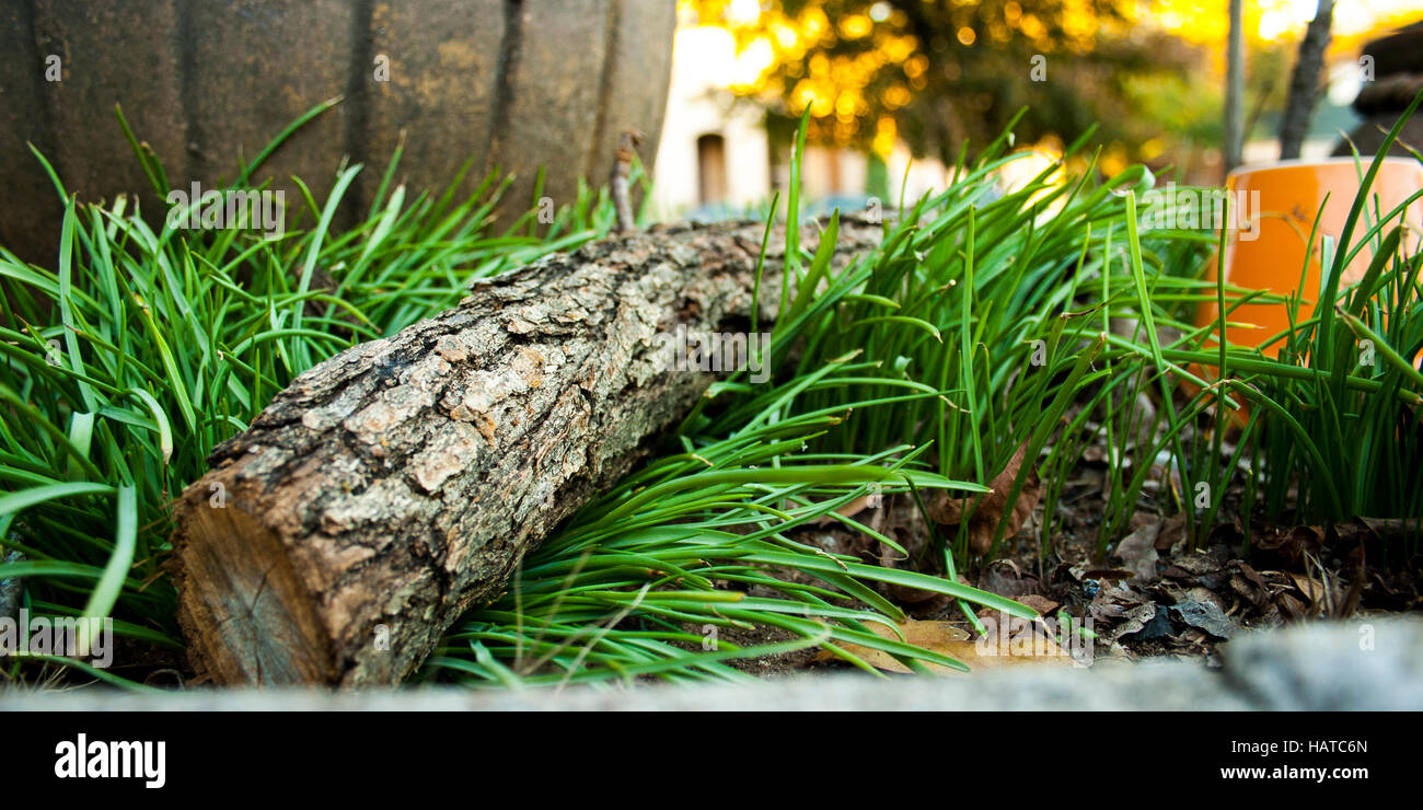 Log in grass Stock Photo - Alamy