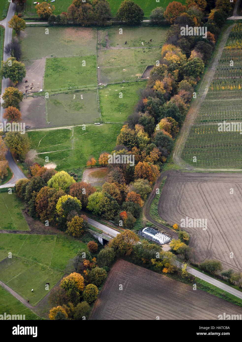 Tree allee hi-res stock photography and images - Alamy