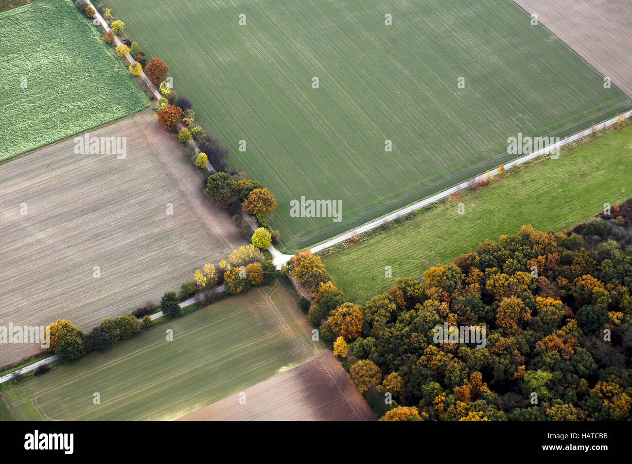 Crossroads hi-res stock photography and images - Alamy