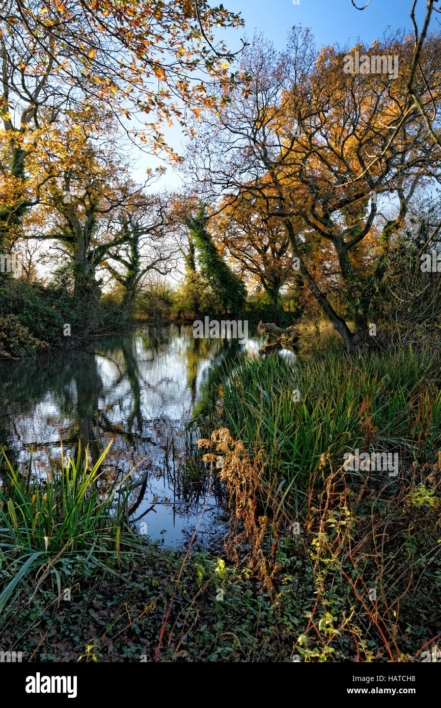 The Herefordshire landscape was painted by Brian Hatton now relived by ...