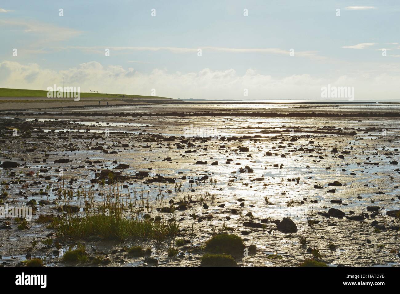Wet flat Wadden Sea near Neuharlingersiel full of stones with a few ...
