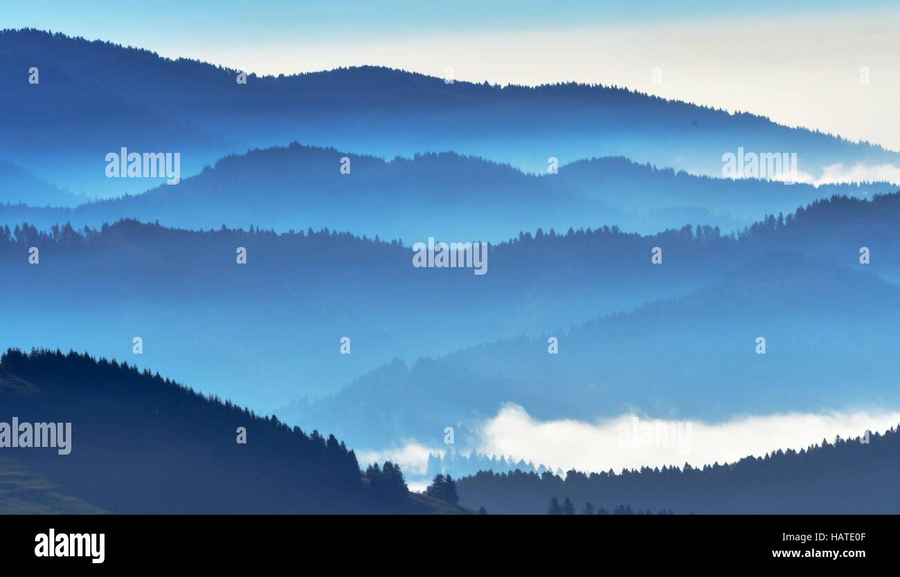 autumn fog in the Black Forest, Oct. 31, 2016. | usage worldwide Stock ...