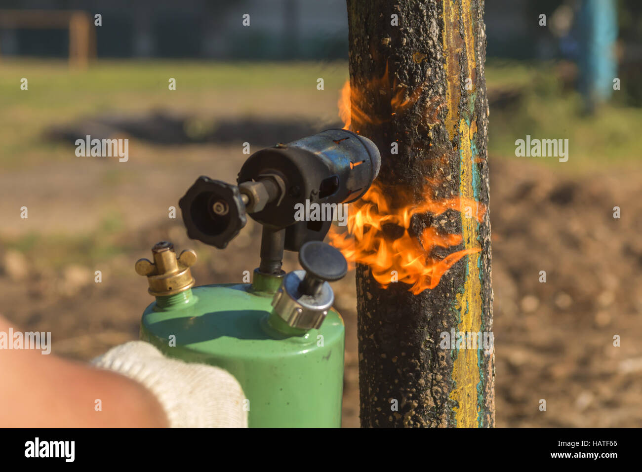 Blowlamp hi-res stock photography and images - Alamy