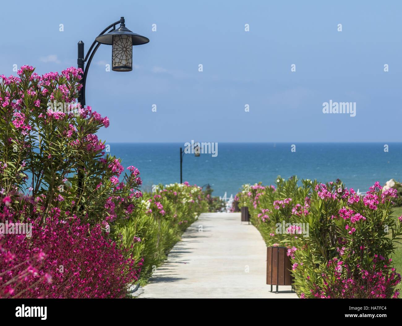Alleyway to the beach hi-res stock photography and images - Alamy