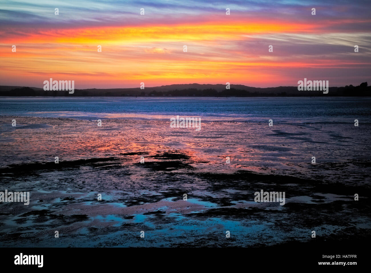Sunset at low tide, near Bodega Bay, CA Stock Photo - Alamy