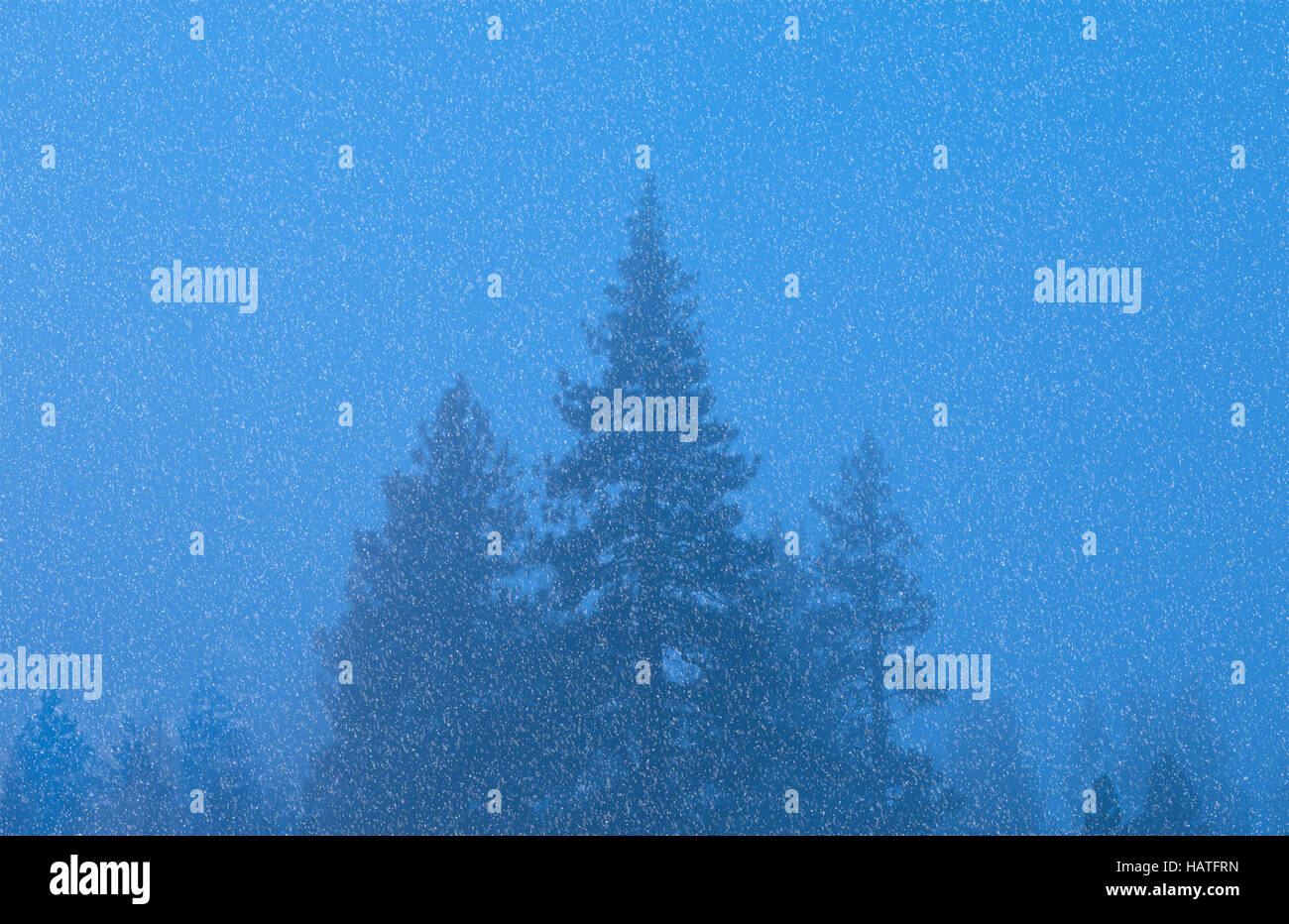 Snow in the Sierras Stock Photo - Alamy