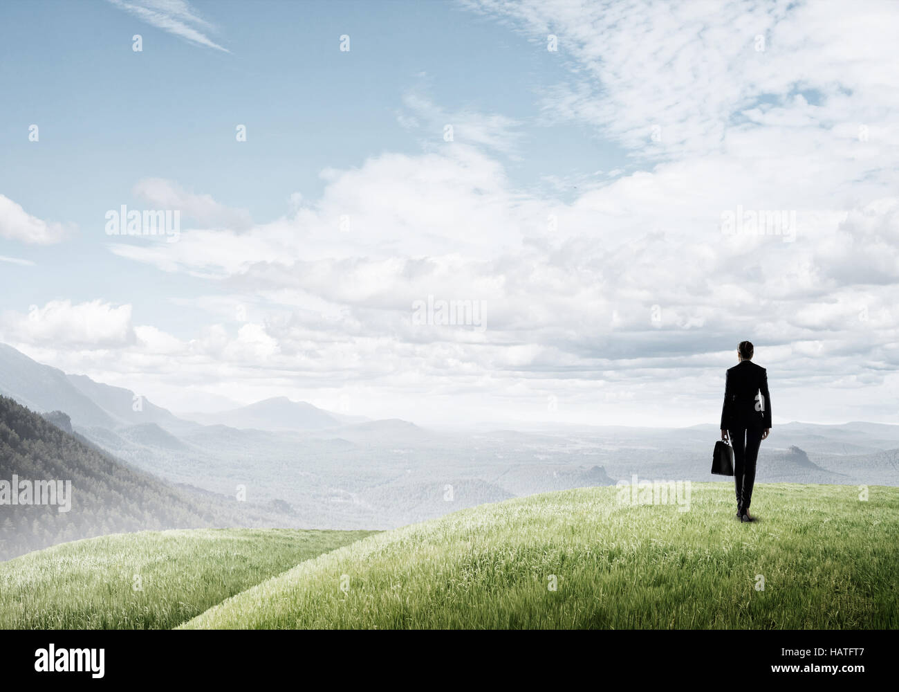 Achieving top of success Stock Photo - Alamy