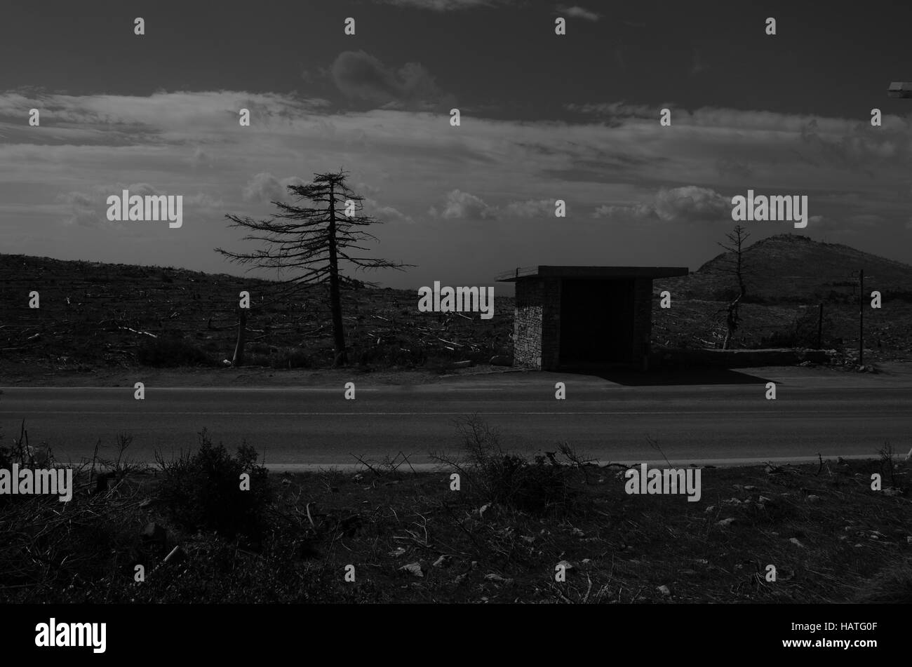 Architectural details of building structures in the city Stock Photo ...