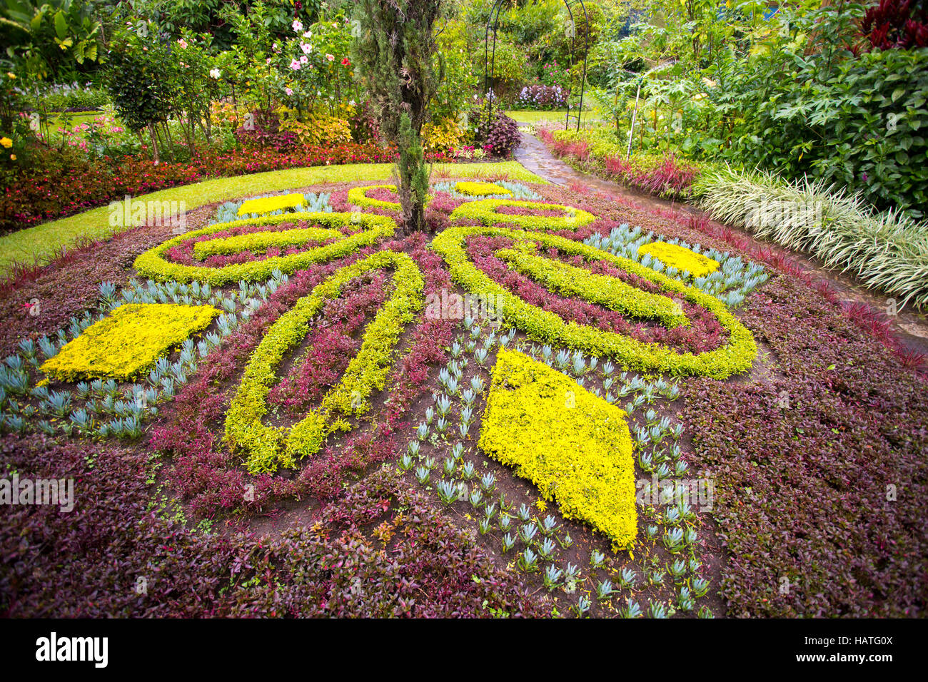 Fancy landscaping in a beautiful garden Stock Photo - Alamy