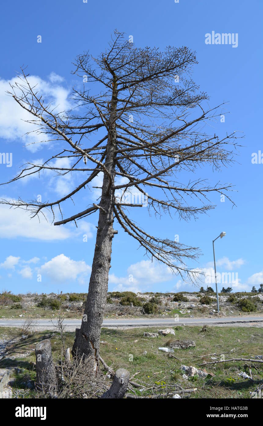 Nature photography out in the open space Stock Photo - Alamy