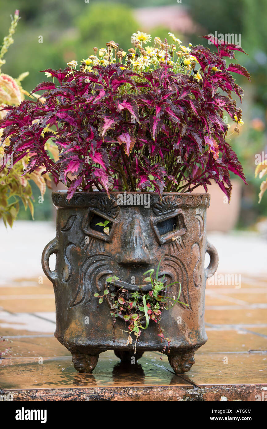 Mayan planter with face made of clay or stone Stock Photo - Alamy
