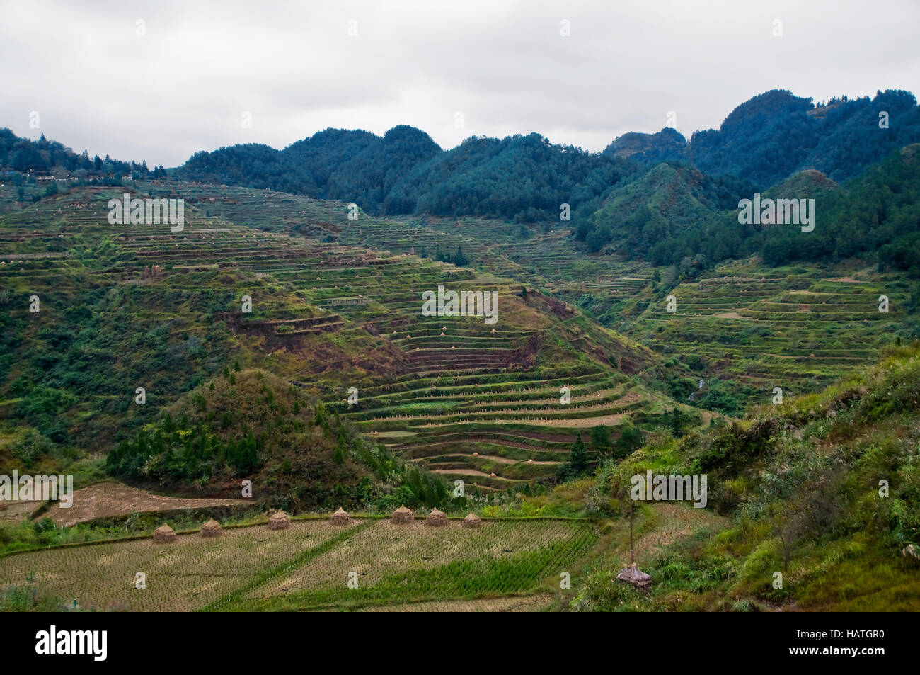 The rice terrace fields in Guizhou Province of China are interesting ...