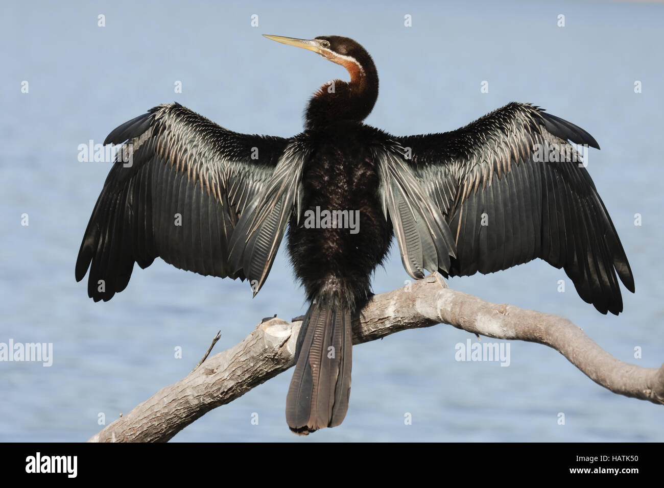 - South Africa Stock Photo - Alamy