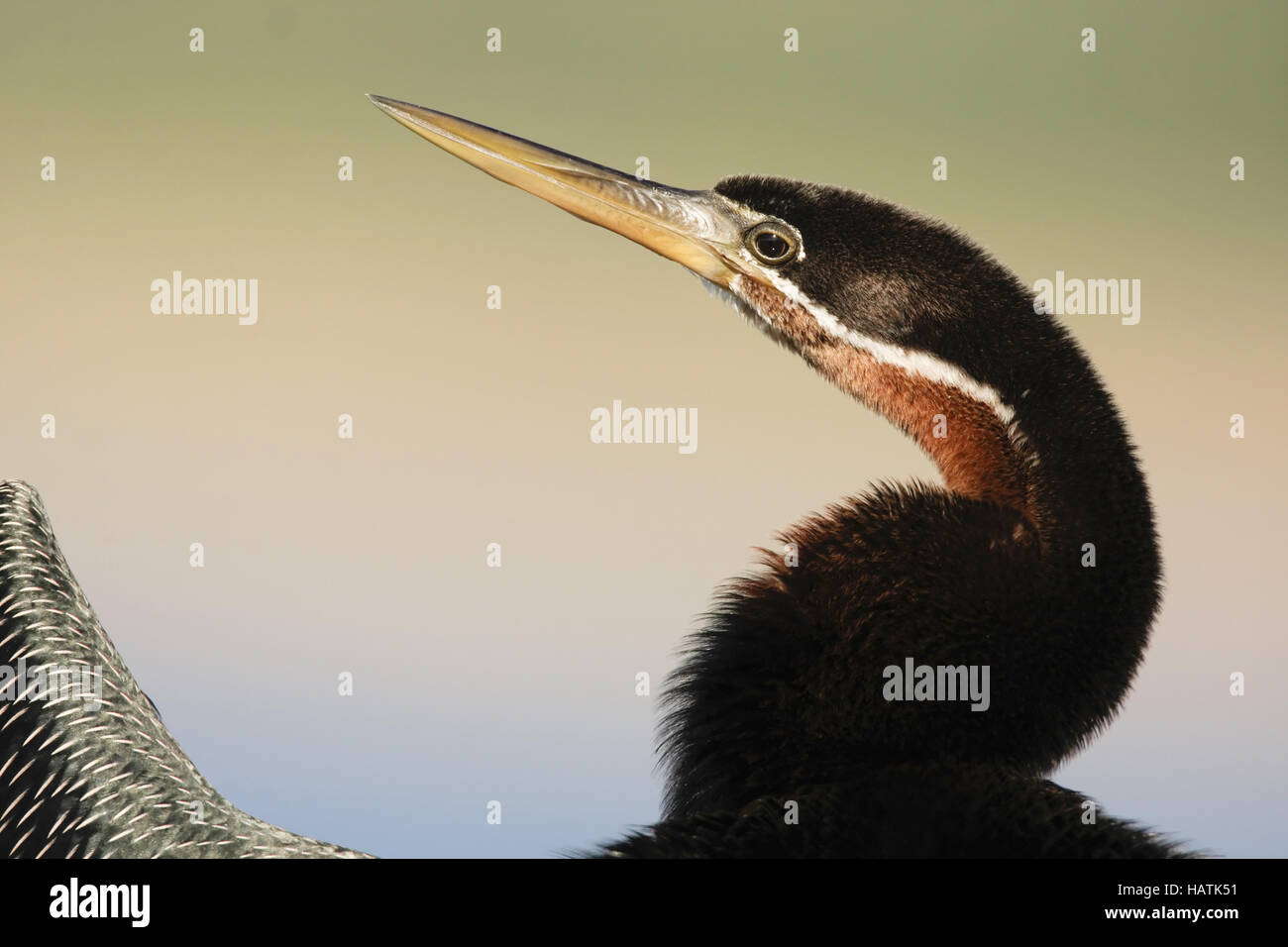 - South Africa Stock Photo - Alamy