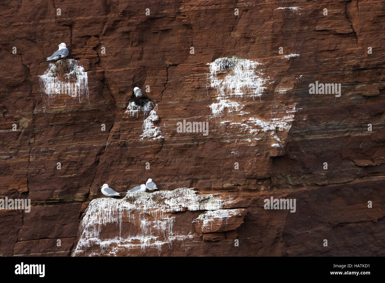 Anna holstein hi-res stock photography and images - Alamy