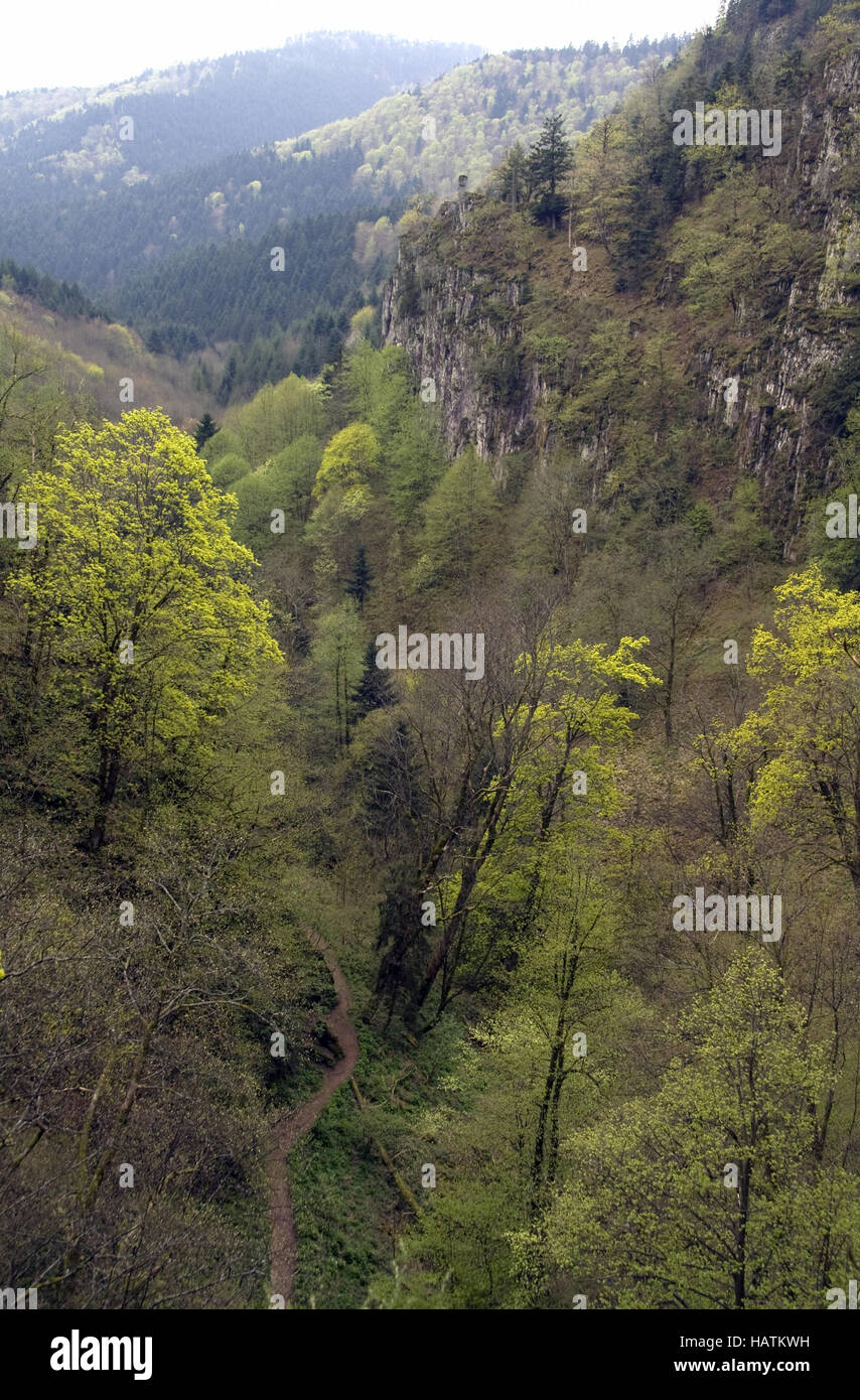 Hasel Valley, Oberhaslach, Alsace, France Stock Photo - Alamy