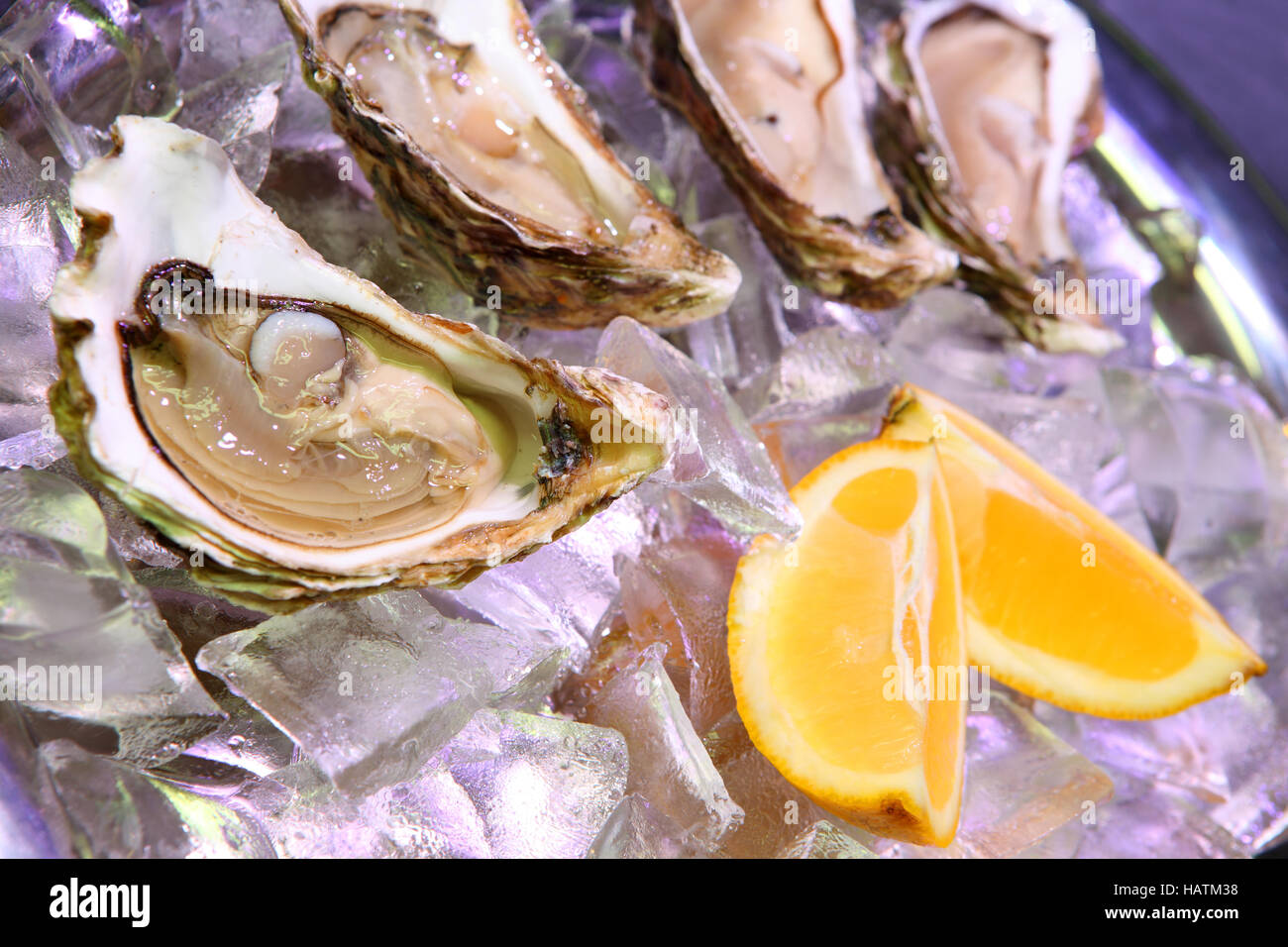 Austern ostreidae hi-res stock photography and images - Alamy