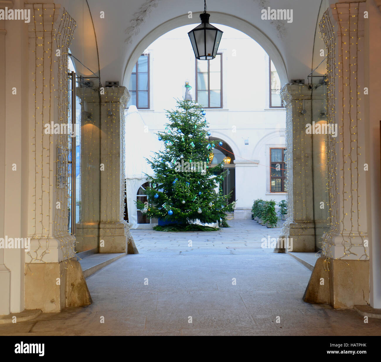 Vienna tree hi-res stock photography and images - Alamy