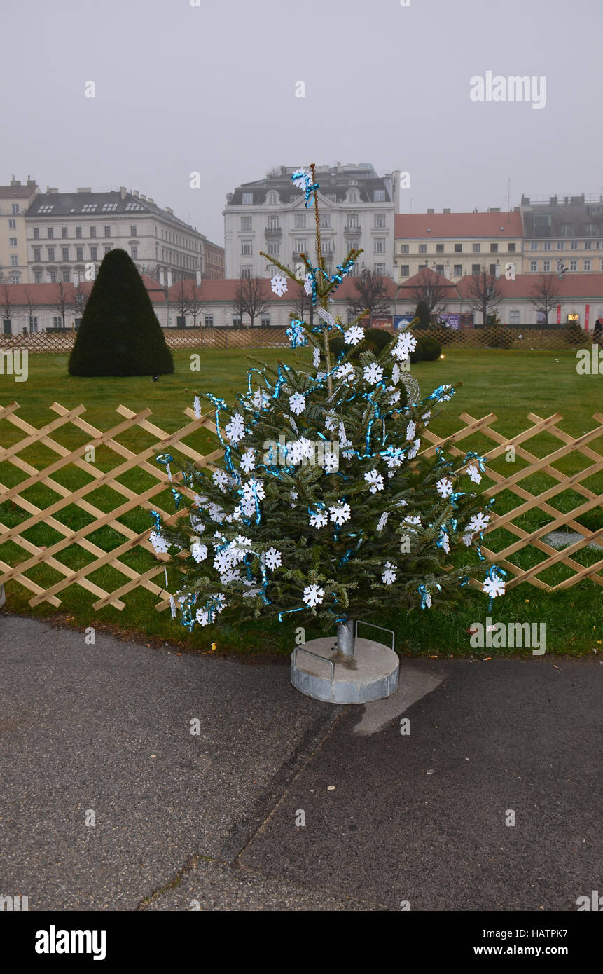 Vienna tree hi-res stock photography and images - Alamy