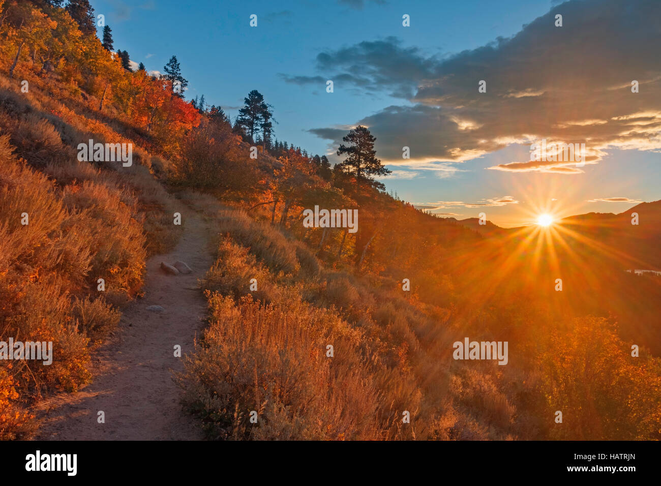 The sun shines brightly hi-res stock photography and images - Alamy