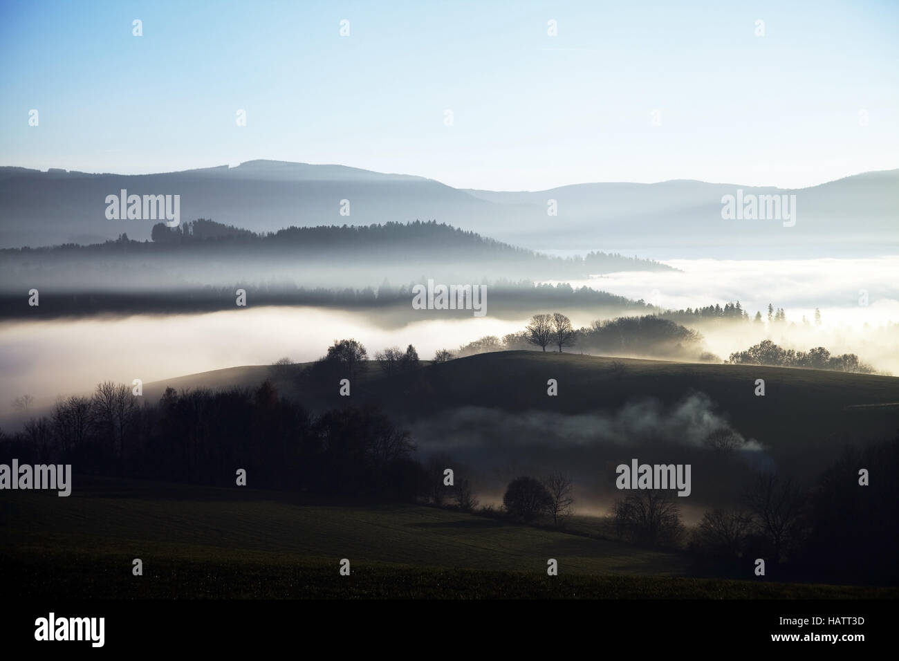 High black forest inversion position hi-res stock photography and ...