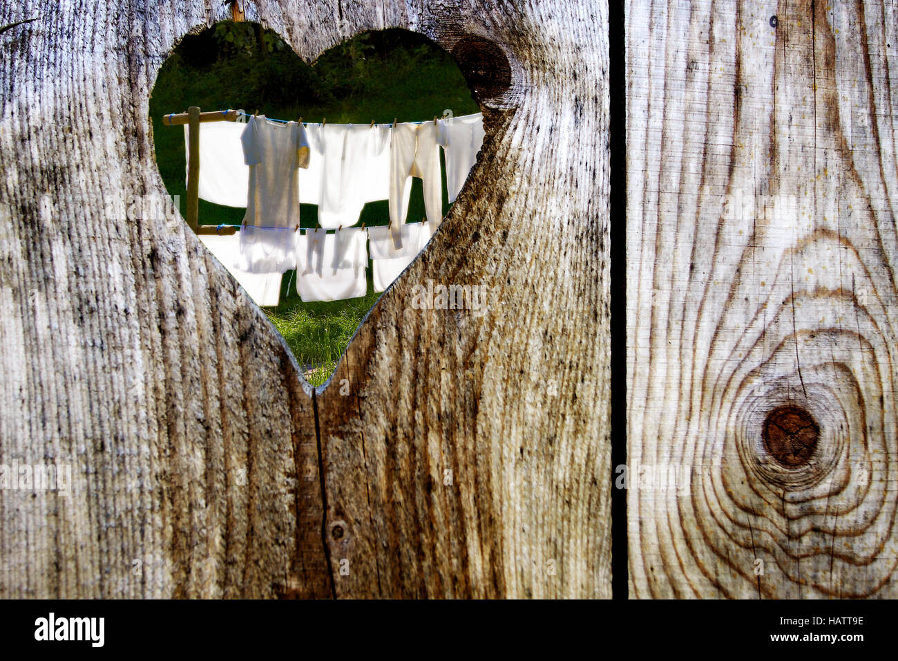 Fresh life toilet hi-res stock photography and images - Alamy