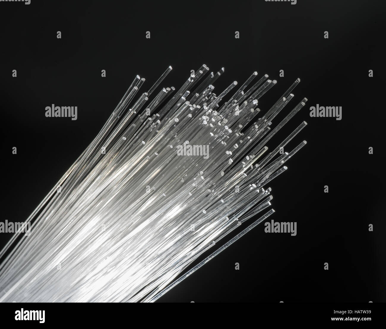 fiber optical network cable Stock Photo - Alamy