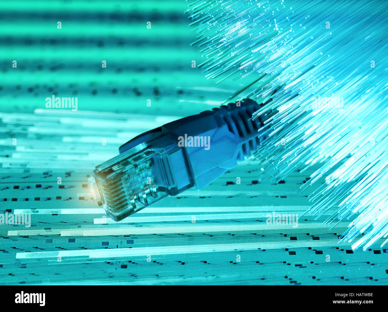 network cables closeup with fiber background Stock Photo - Alamy