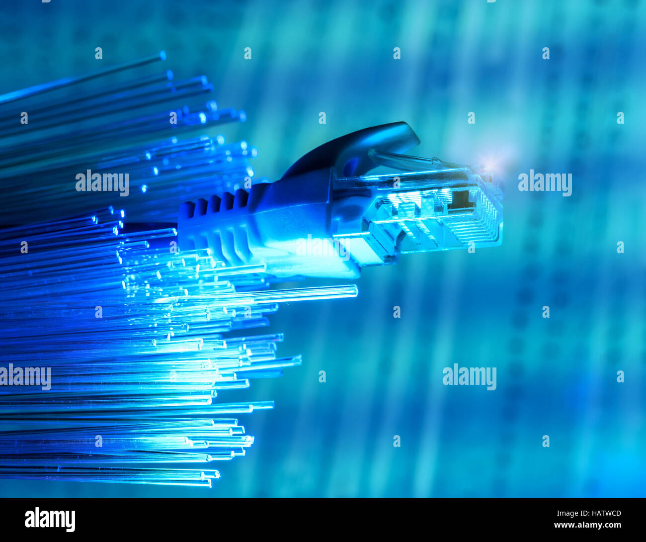 network cables closeup with fiber background Stock Photo - Alamy