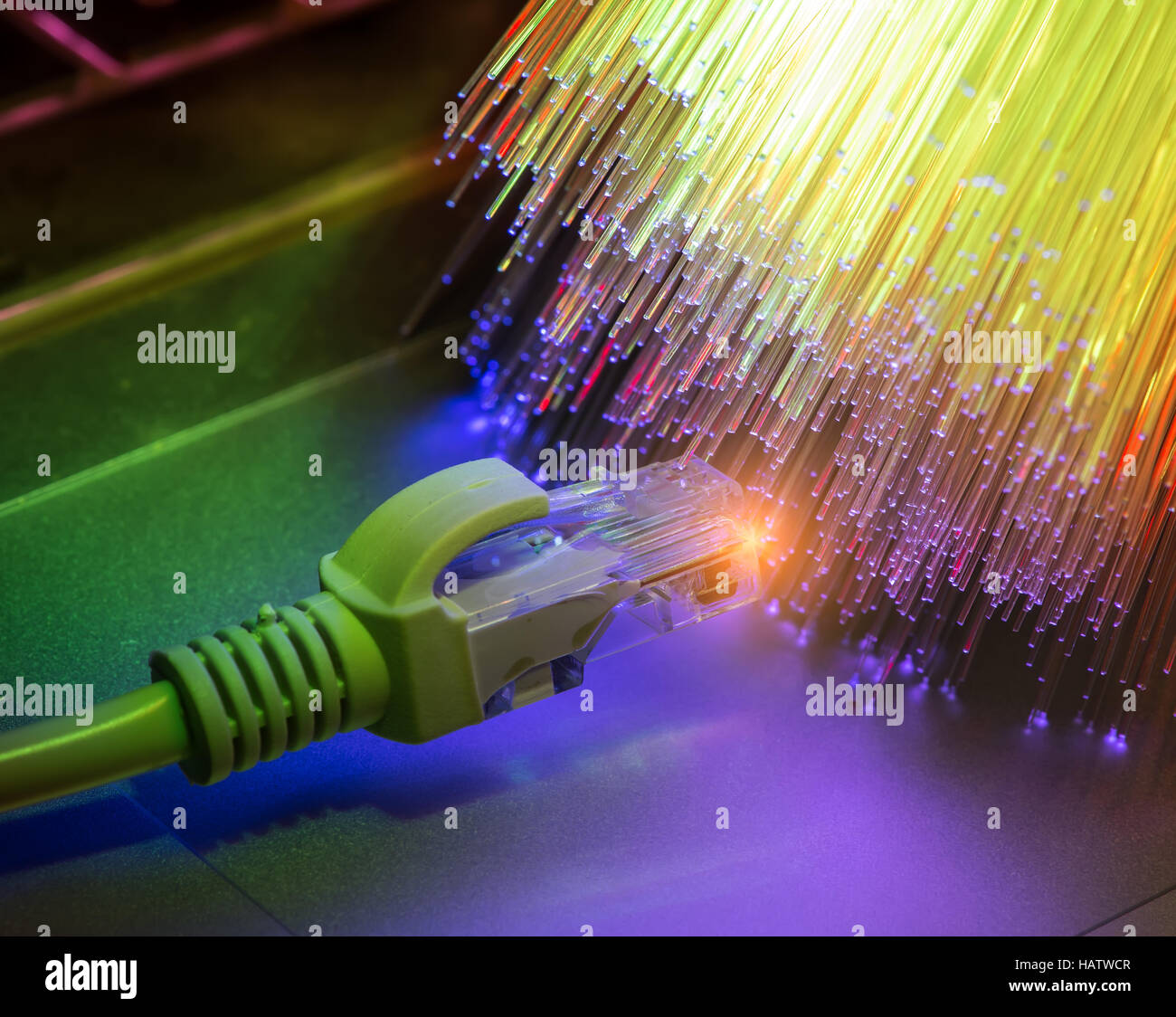 network cables closeup with fiber background Stock Photo - Alamy