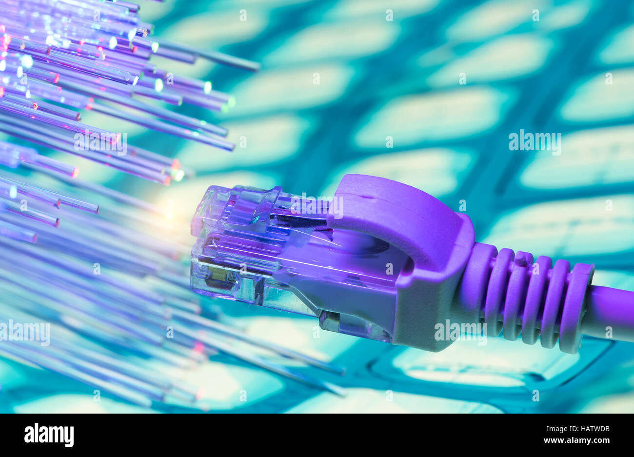 network cables closeup with fiber background Stock Photo - Alamy