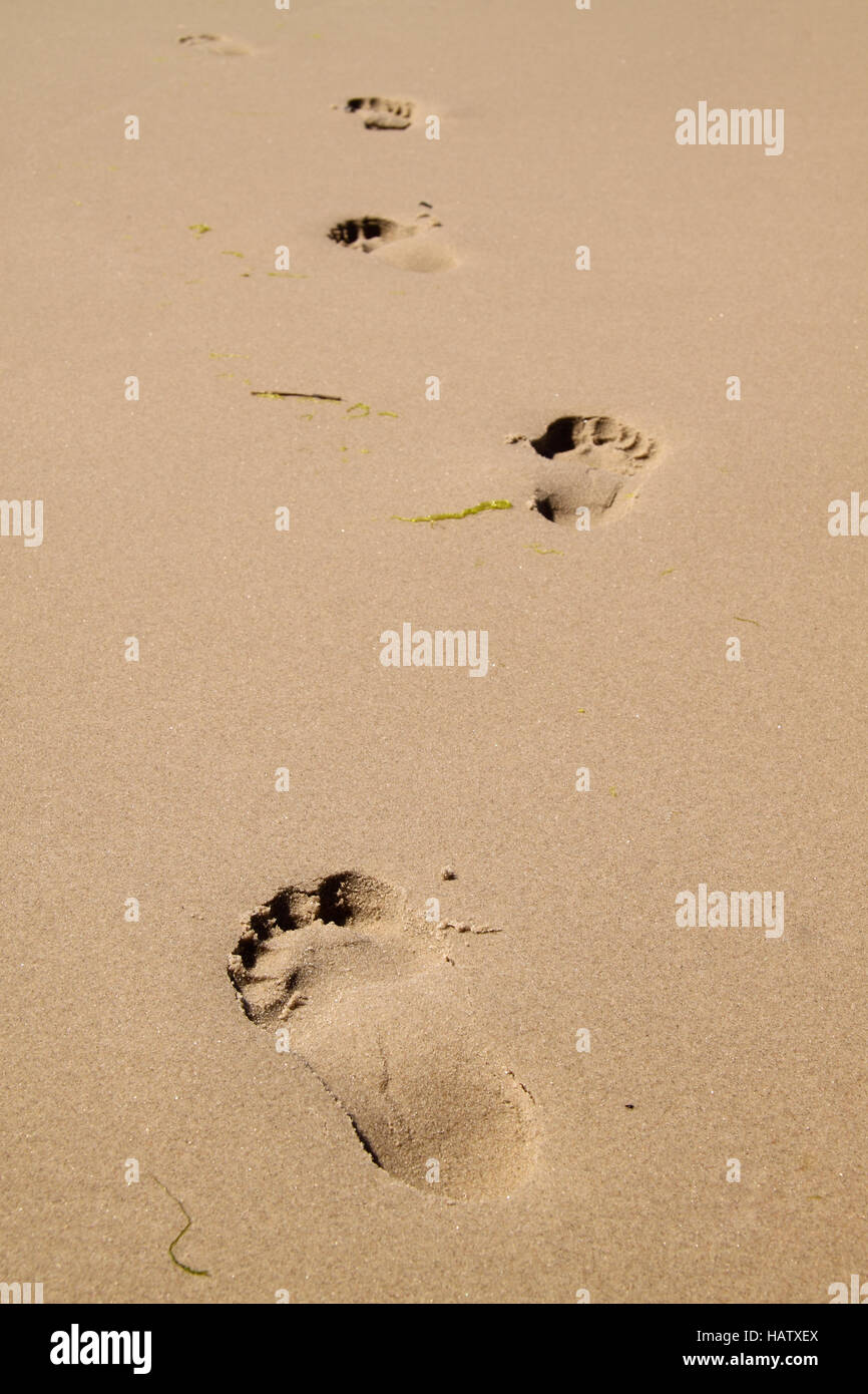 Spur fuss hi-res stock photography and images - Alamy