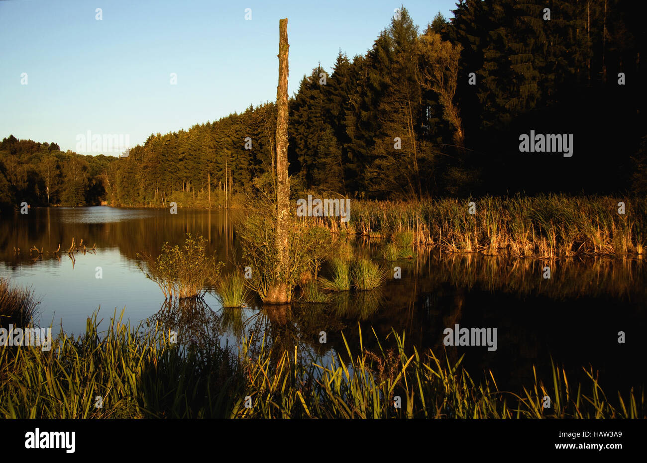 Rombach hi-res stock photography and images - Alamy