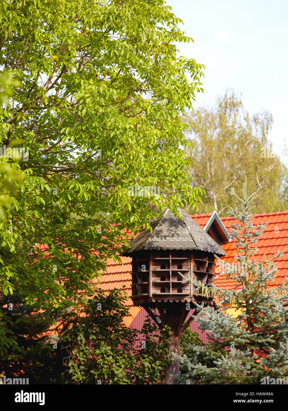 Forest aviary hi-res stock photography and images - Alamy