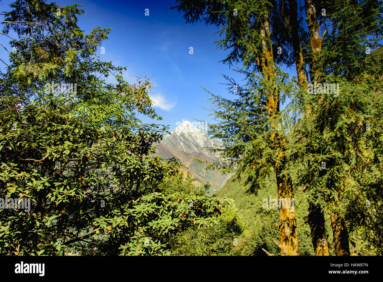 Mountain peaks on the base camp trek route, through the trees Stock ...