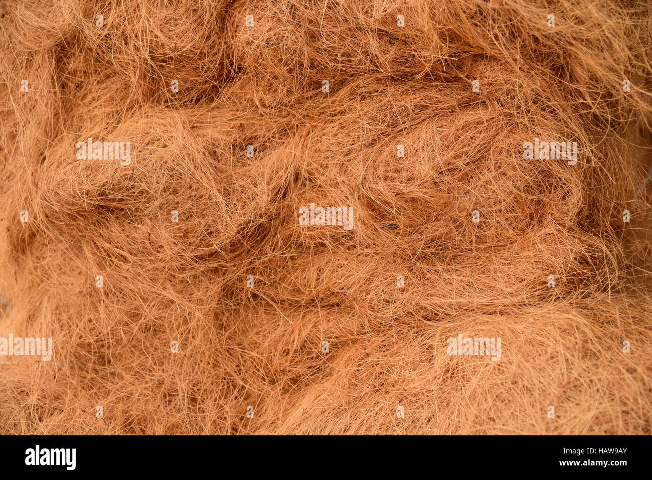 Fiber raw material hi-res stock photography and images - Alamy