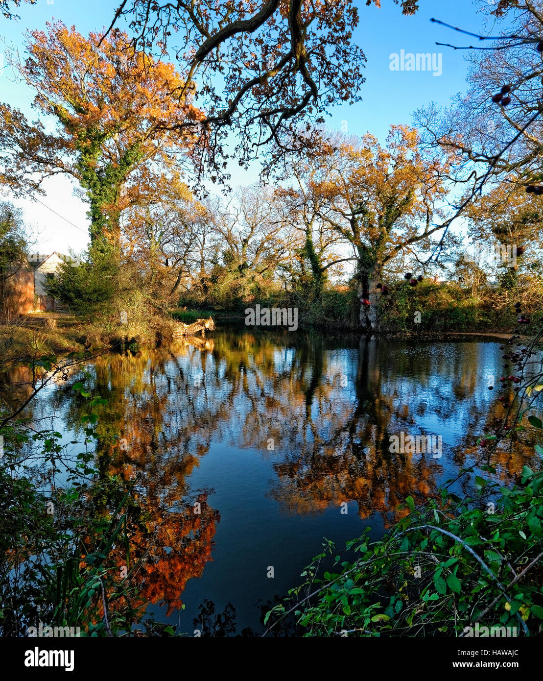 The Herefordshire landscape was painted by Brian Hatton now relived by ...