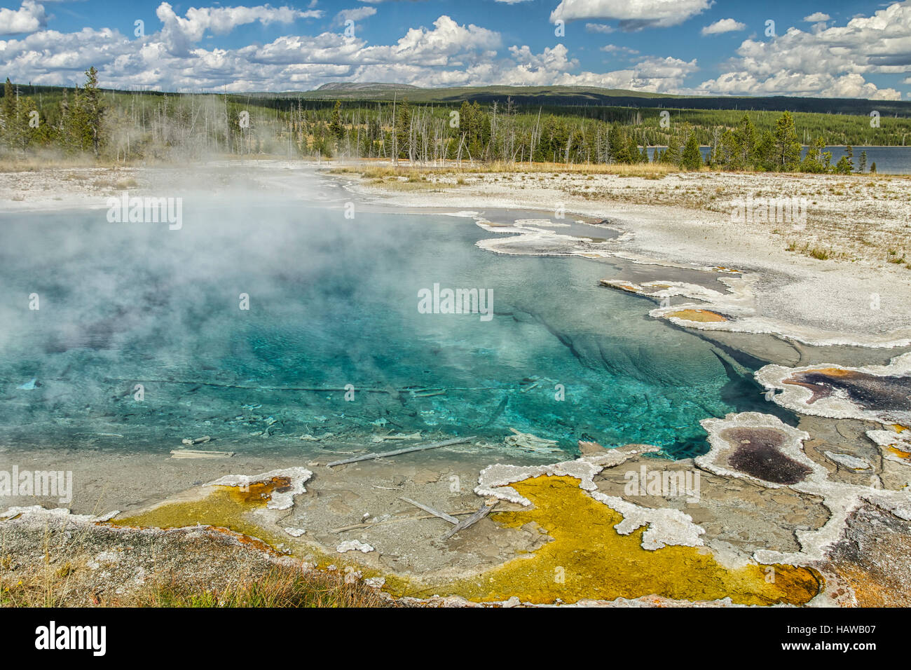 Elk skeleton in Colombia Spring at Heart Lake Geyser Basin, Yellowstone ...