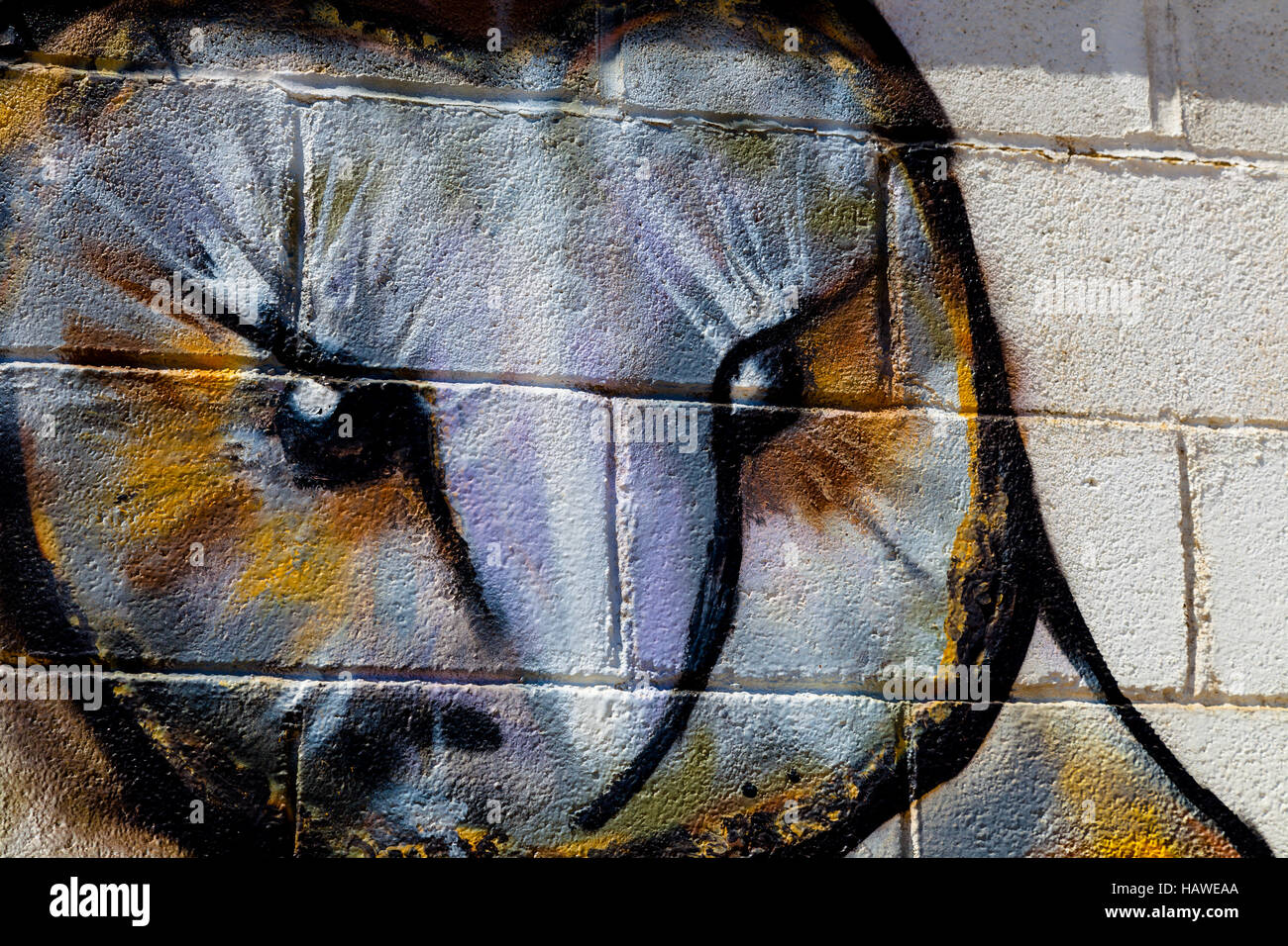 Owl graffiti hi-res stock photography and images - Alamy