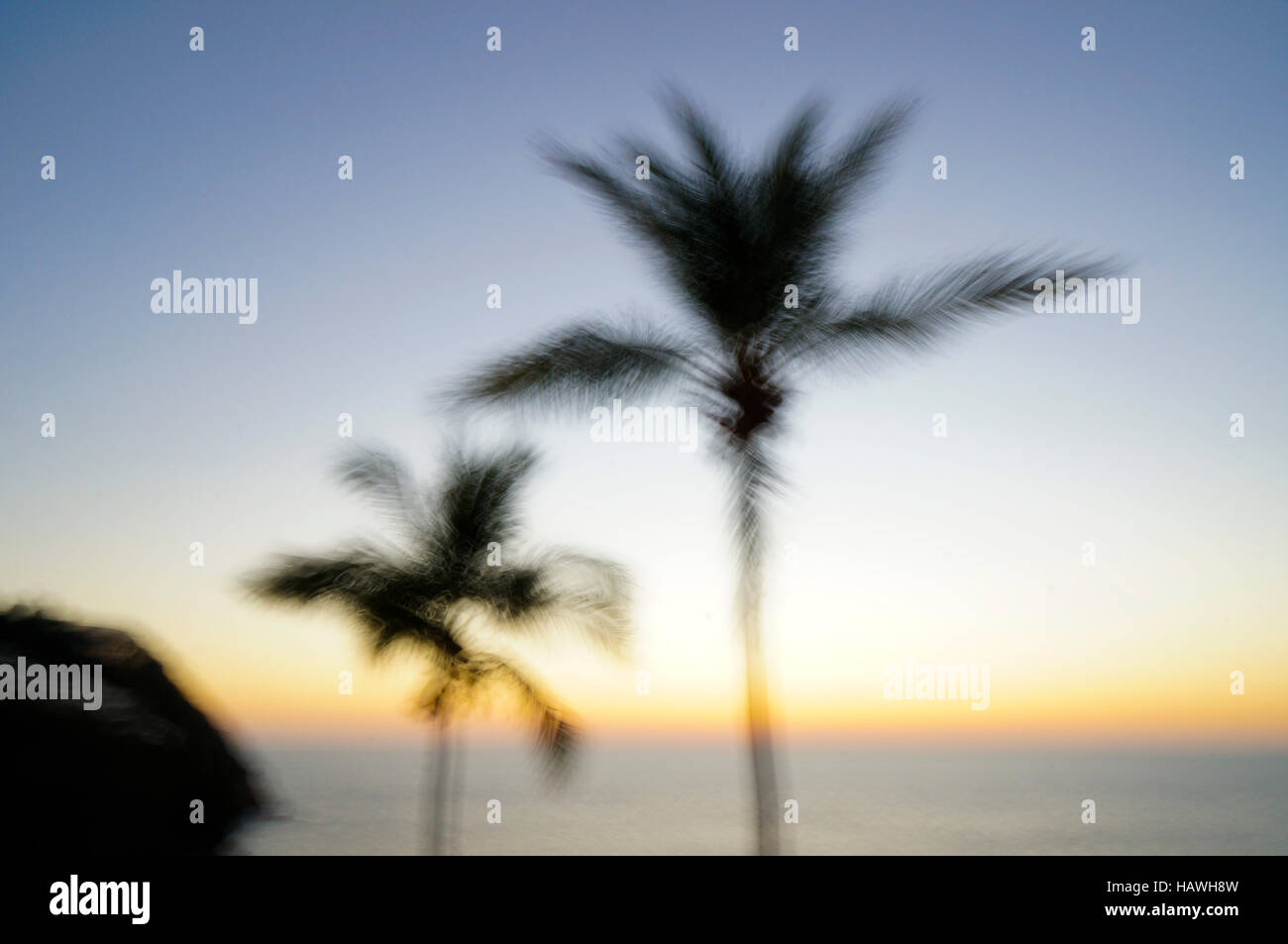 Out of focus palm trees, Acapulco, Mexico Stock Photo - Alamy