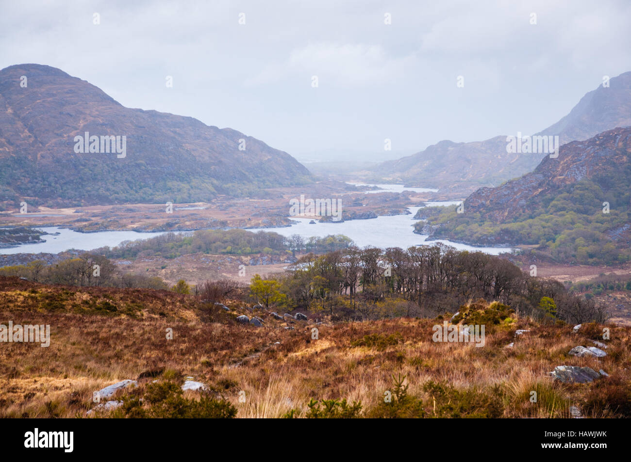 Ladies view hi-res stock photography and images - Alamy