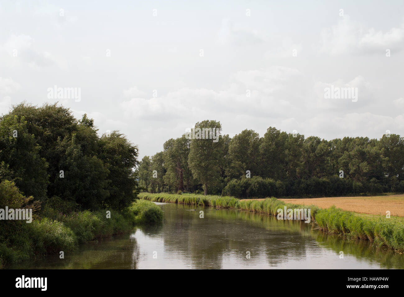 Lippe Island. Germany Stock Photo - Alamy