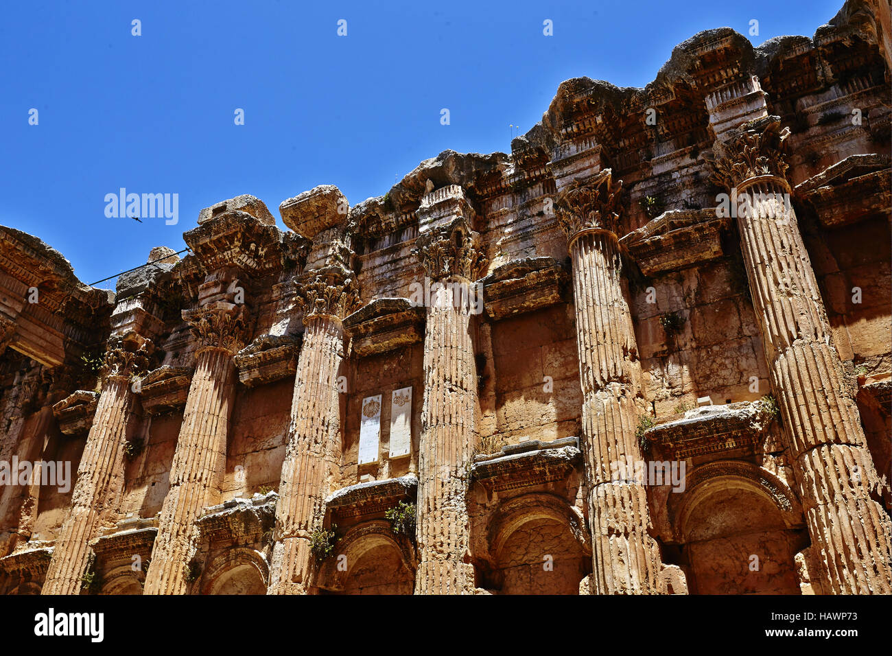 Temple of Bacchus - Baalbek, Lebanon Stock Photo - Alamy