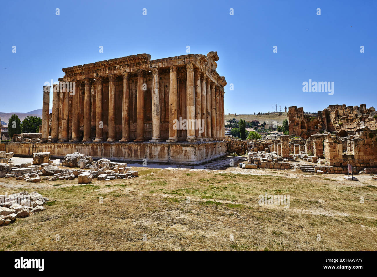 Temple of Bacchus - Baalbek, Lebanon Stock Photo - Alamy