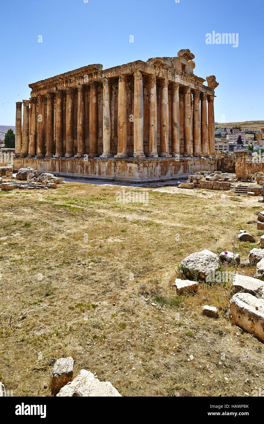 Temple of Bacchus - Baalbek, Lebanon Stock Photo - Alamy