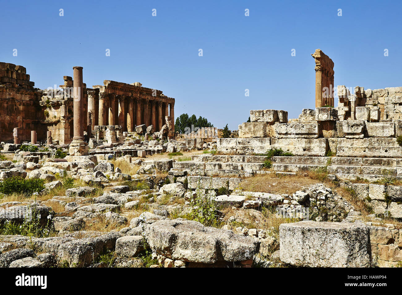 Temple of Bacchus - Baalbek, Lebanon Stock Photo - Alamy