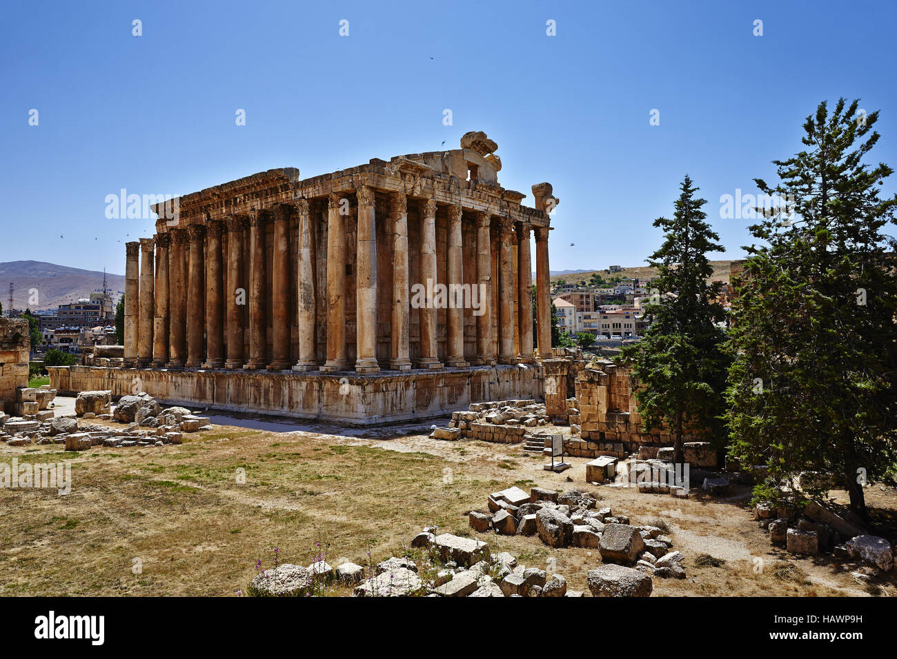 Temple of Bacchus - Baalbek, Lebanon Stock Photo - Alamy
