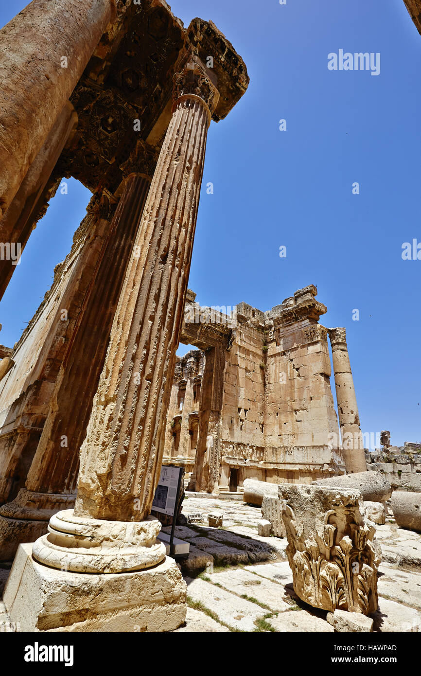 Temple of Bacchus - Baalbek, Lebanon Stock Photo - Alamy
