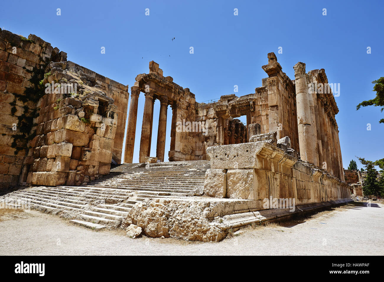 Temple of Bacchus - Baalbek, Lebanon Stock Photo - Alamy