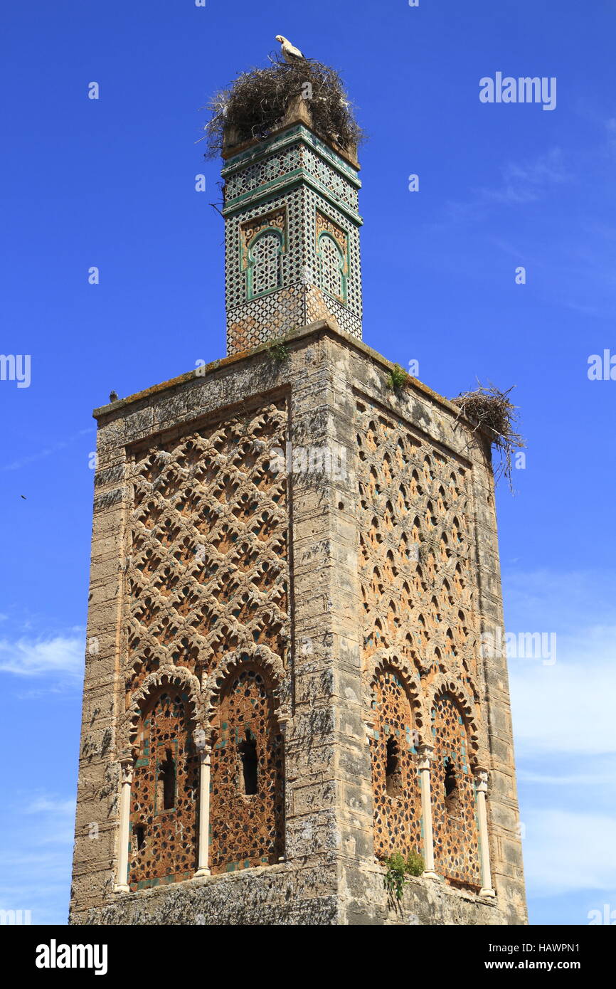 Chellah gate hi-res stock photography and images - Alamy